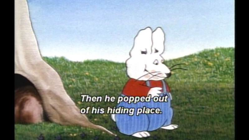 Max's Chocolate Chicken